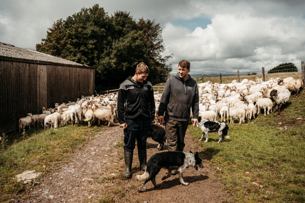 HCC looks forward to Garth Country Fair 2024 - Hybu Cig Cymru